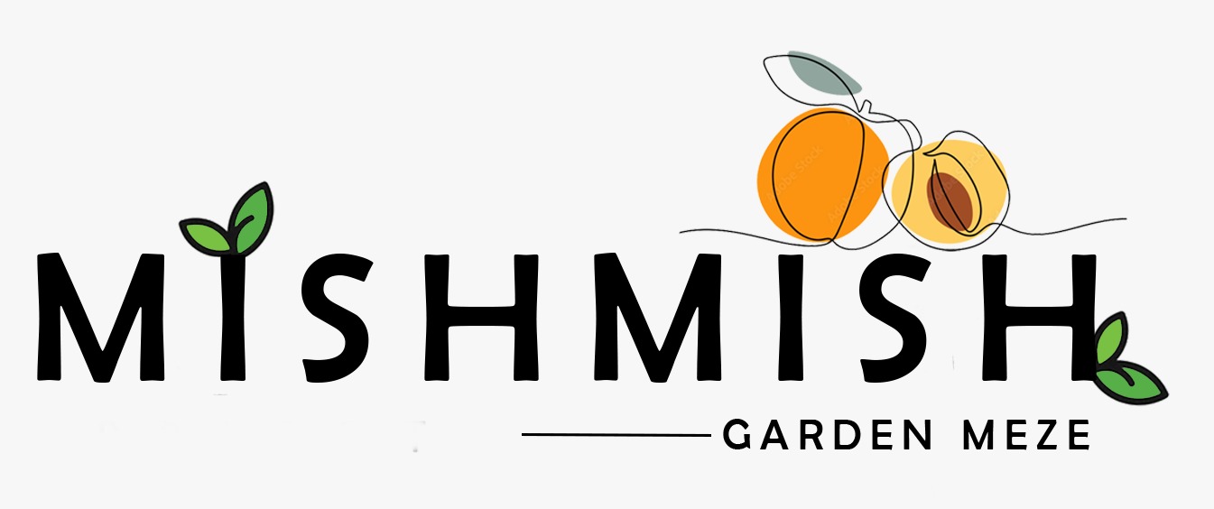 Israeli Culinary Delights | MishMish at Ladakh Sarai